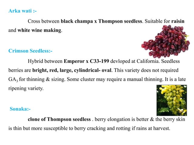 Grape breeding | PPTX | Gardening | Home & Garden
