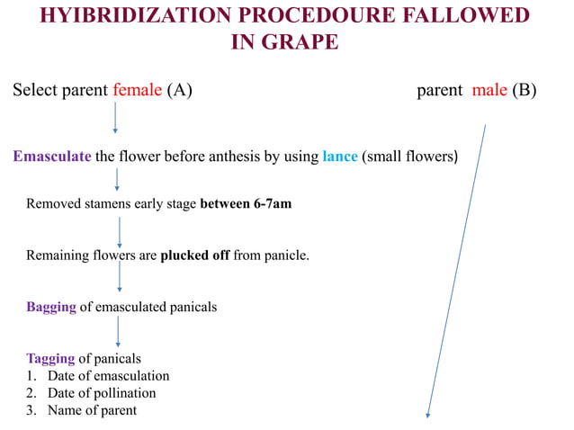 Grape breeding | PPTX | Gardening | Home & Garden