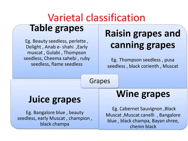 Grape breeding | PPTX | Gardening | Home & Garden