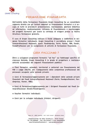 Grape Consulting | PDF