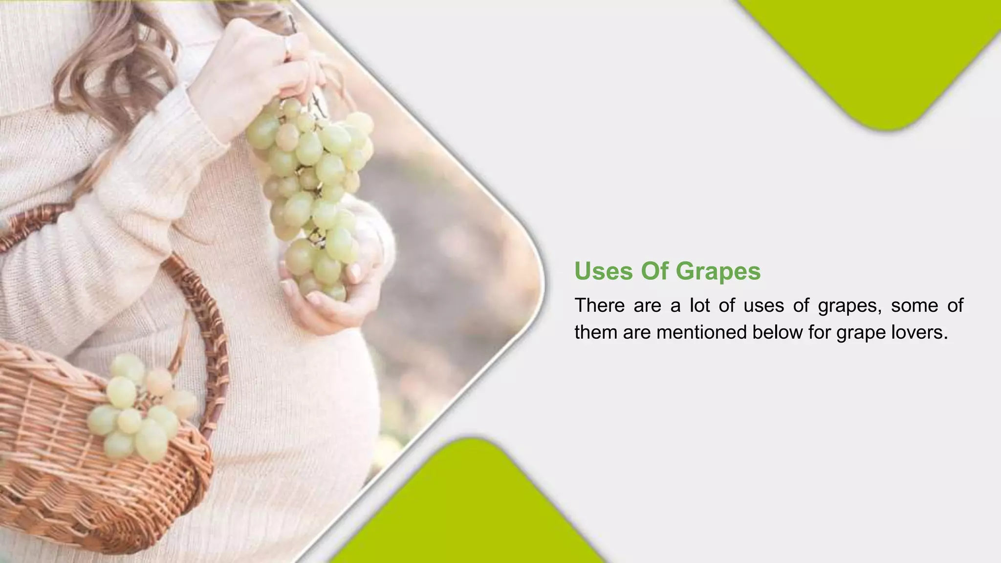 Grape Farming in India cultivation, uses & varieties | PPTX