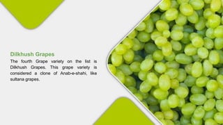 Grape Farming in India cultivation, uses & varieties | PPTX