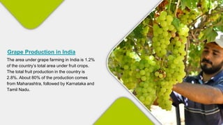 Grape Farming in India cultivation, uses & varieties | PPTX