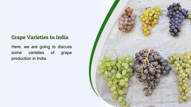 Grape farming in india | PPTX | Gardening | Home & Garden