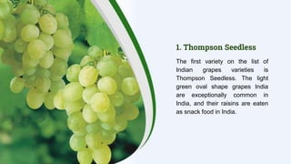 Grape farming in india | PPTX