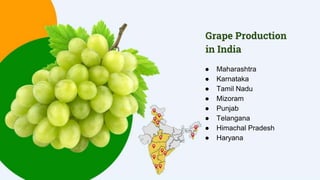 Grape farming in india | PPTX