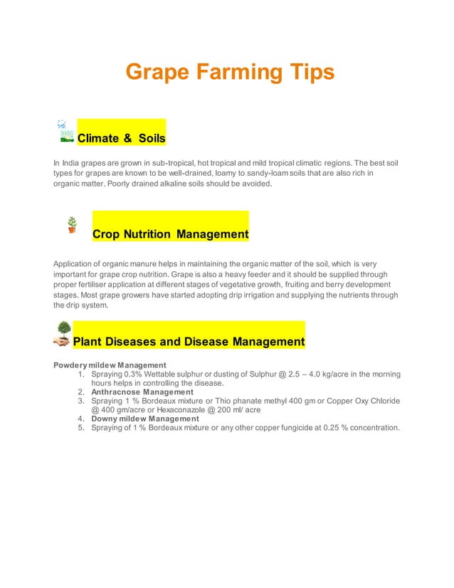 Grape Farming Tips | DOCX