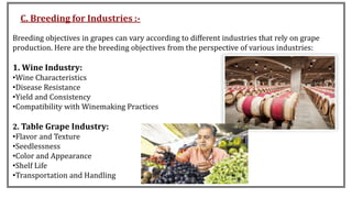 Breeding aspects of grpaes | PPTX