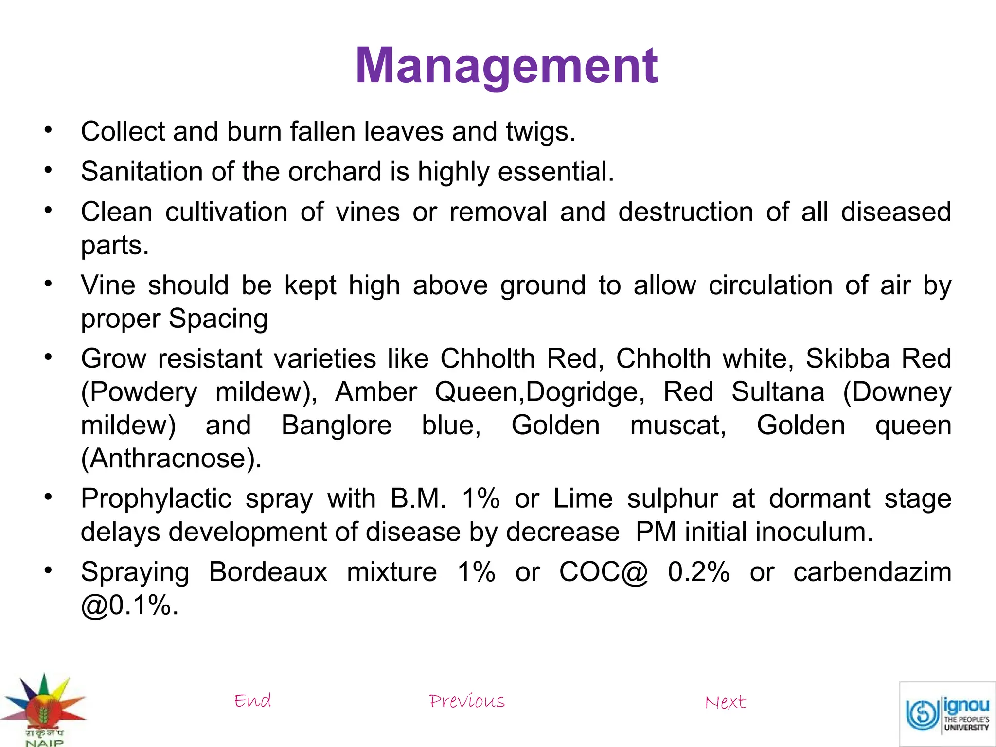 Grape fungal Bacterial and Viral Diseases.ppt