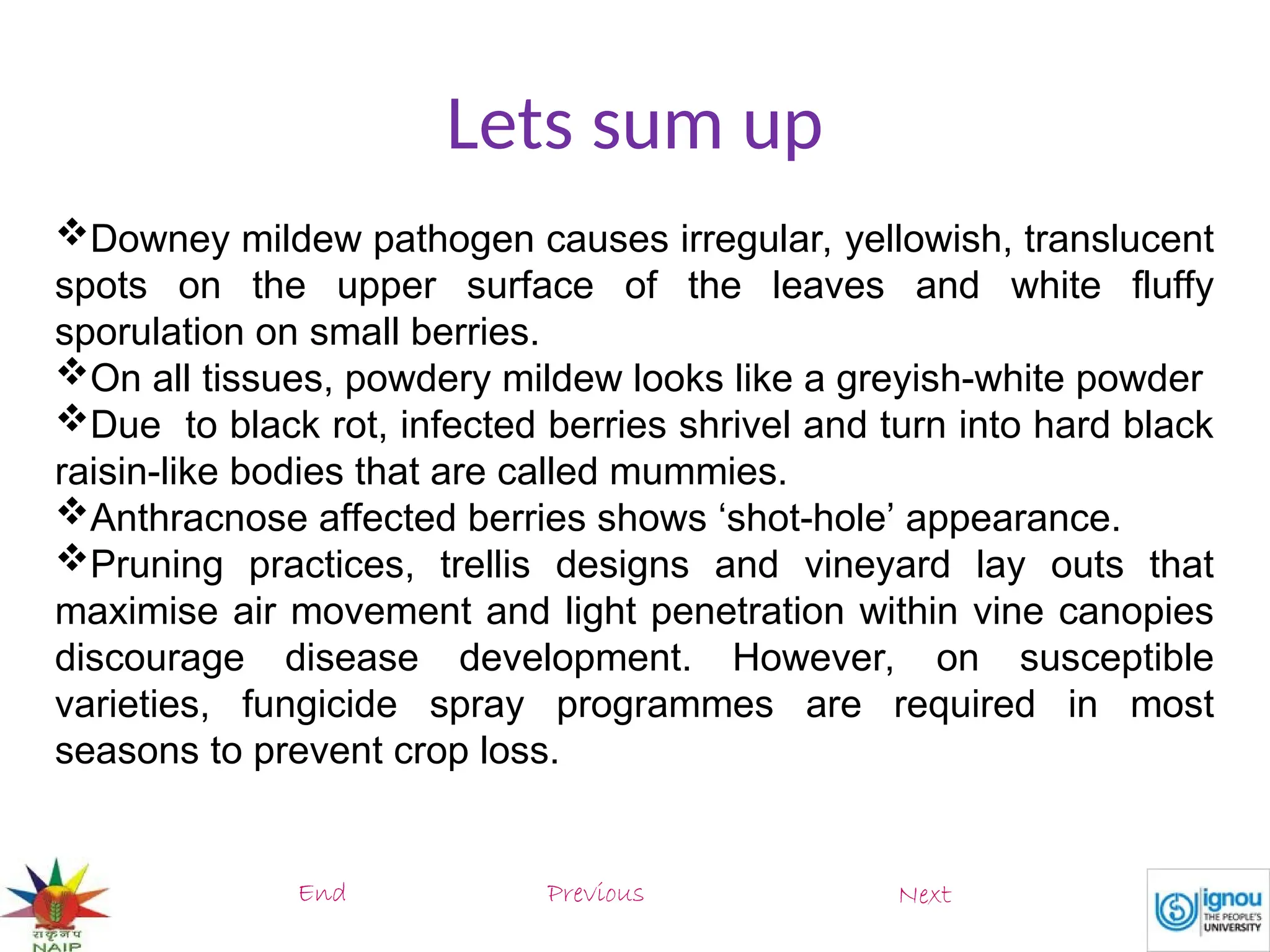 Grape fungal Bacterial and Viral Diseases.ppt