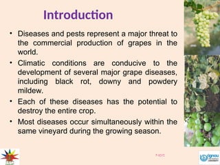 Grape fungal Bacterial and Viral Diseases.ppt