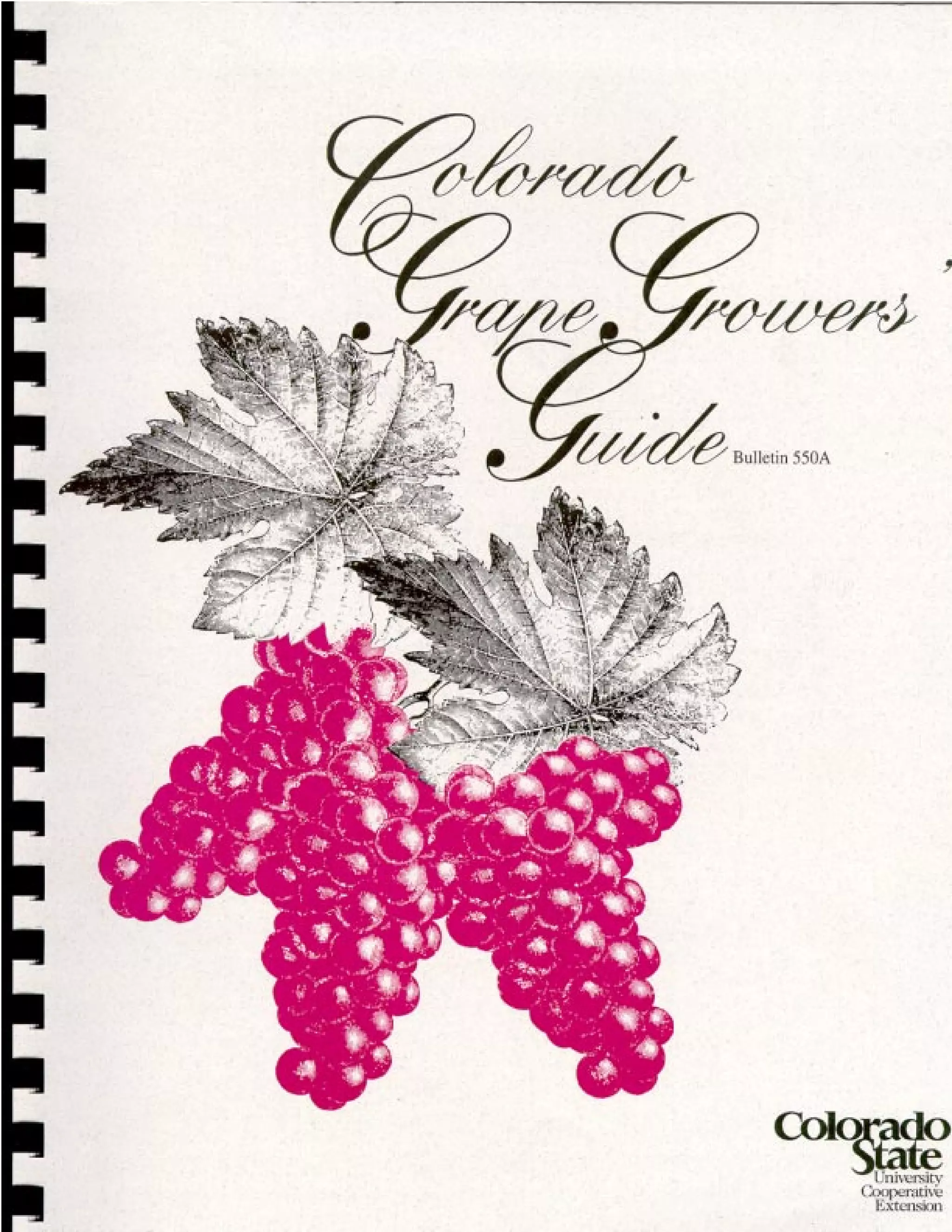 Grape Growing guide | PDF