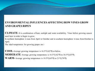 grape growing and related terms.docx