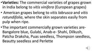 #Grapes#IBPS#AFO#complete#syllabus #STEP #by#step#guide #HORTICULTURE# ...