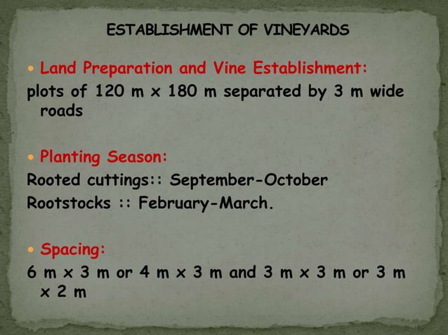 Grapes - Dr. Mahesh Ghuge | PPTX