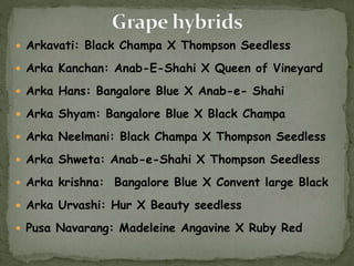 Grapes - Dr. Mahesh Ghuge | PPTX