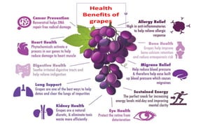 Grapes | PPT