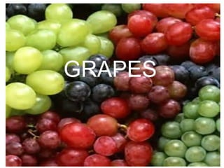 Grapes.pdf