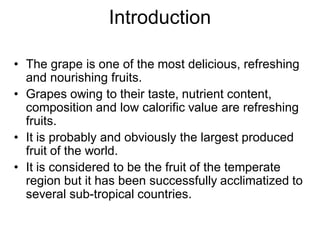 Grapes.pdf