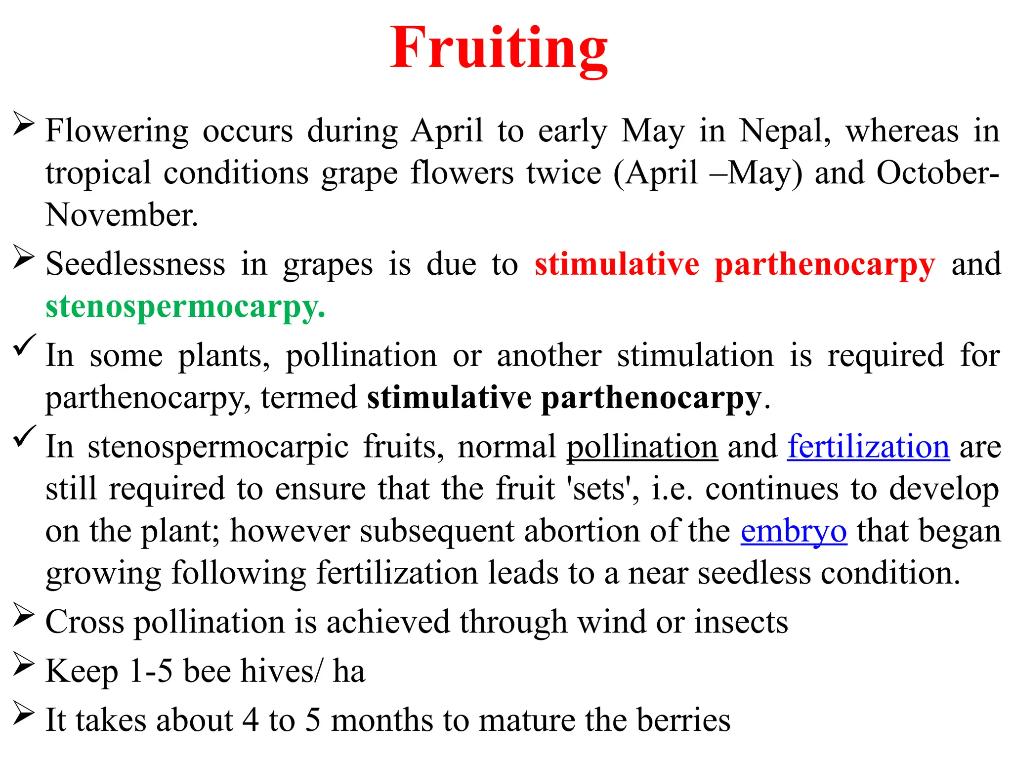 Cultivation practice of Grape in Nepal ppt. | PPTX