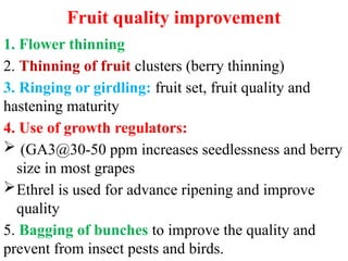 Cultivation practice of Grape in Nepal ppt. | PPTX