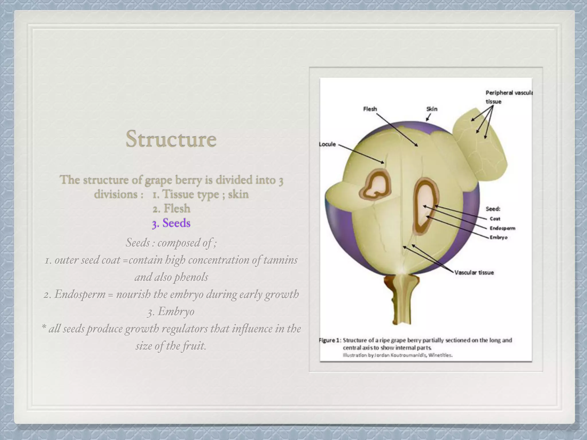 Grape seed extract | PDF