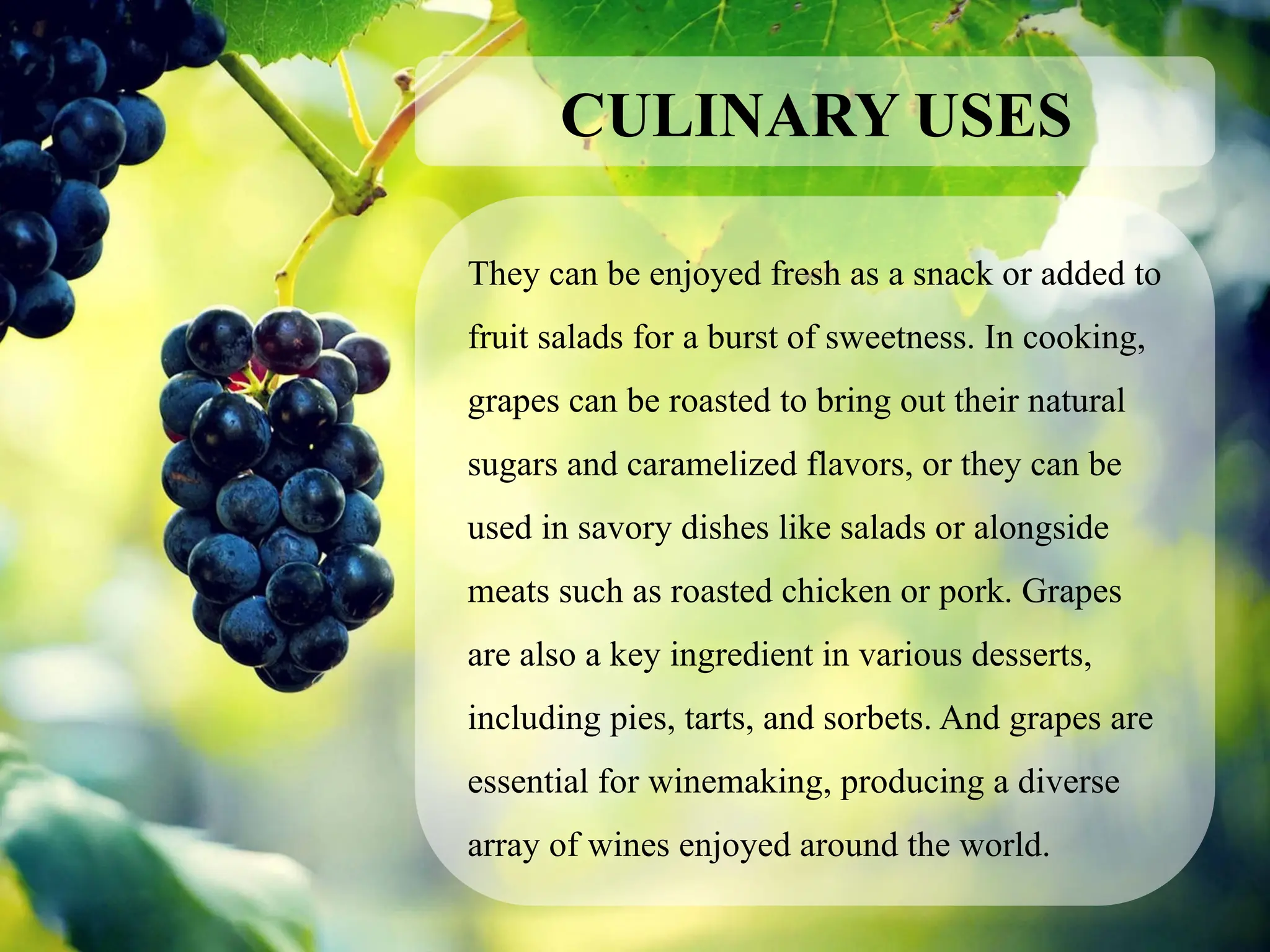 grapes ppt grapes ppt grapes ppt and grapes and grapes | PPT