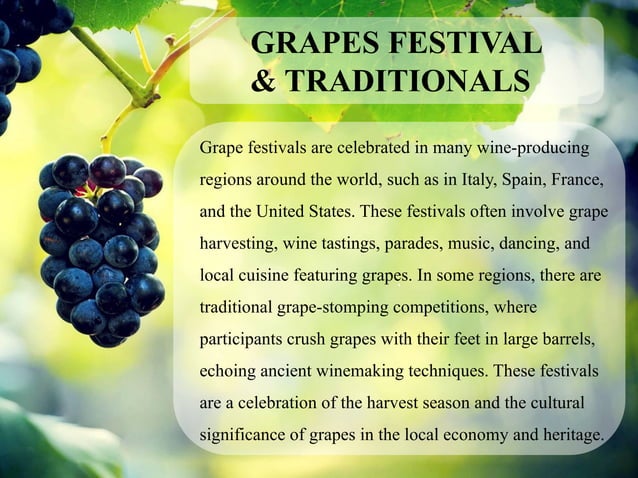 grapes ppt grapes ppt grapes ppt and grapes and grapes | PPT