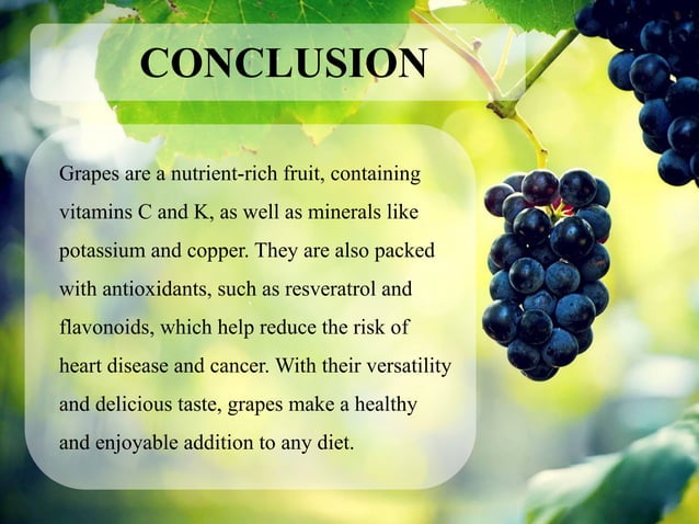 grapes ppt grapes ppt grapes ppt and grapes and grapes | PPT