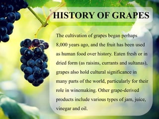 grapes ppt grapes ppt grapes ppt and grapes and grapes | PPTX