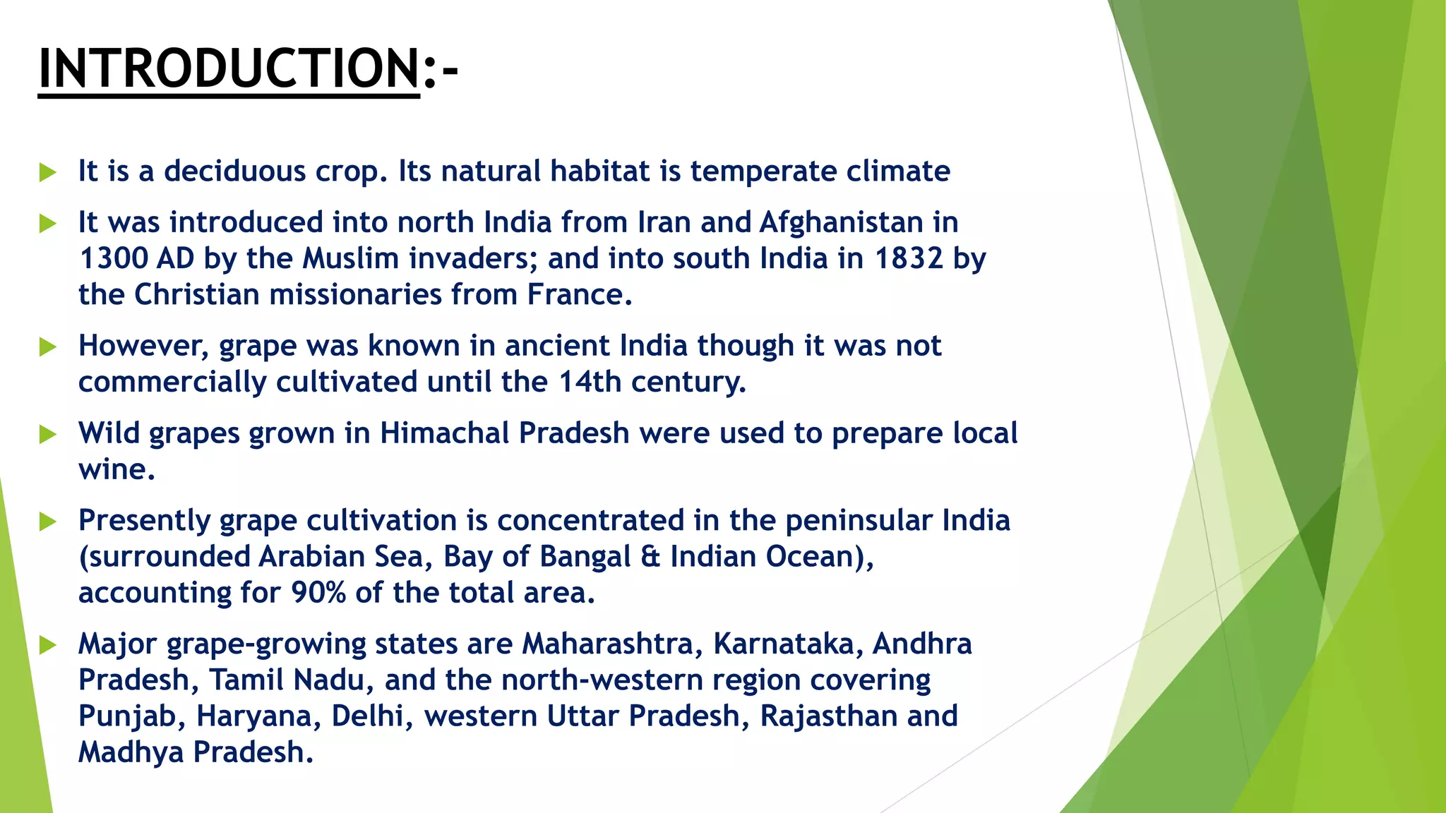 Grapes(vitis vinifera) ppt | PPTX