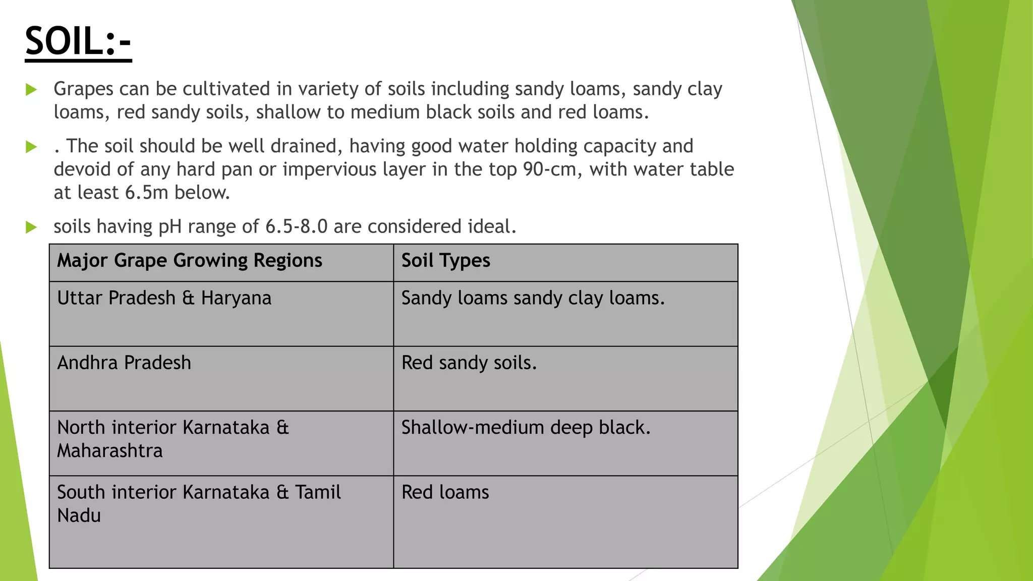 Grapes(vitis vinifera) ppt | PPTX