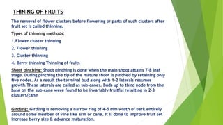 Grapes(vitis vinifera) ppt | PPTX