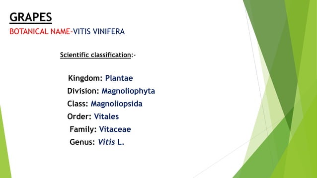 Grapes(vitis vinifera) ppt | PPTX | Agriculture | Industries