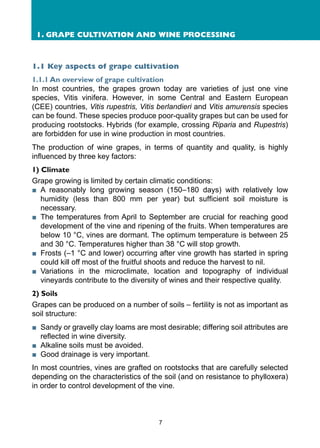 FAO - agribusiness handbook: grapes wine | PPT