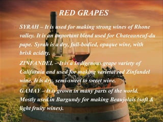 Grape varieties | PPTX
