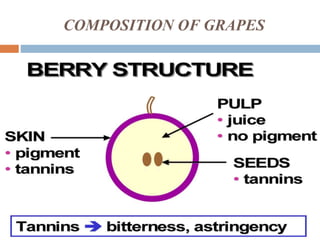 Grape varieties | PPTX