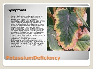 Grape vine physiological disorders A Lecture By Allah Dad Khan To FFS ...