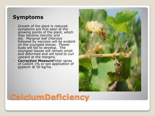 Grape vine physiological disorders A Lecture By Allah Dad Khan To FFS ...