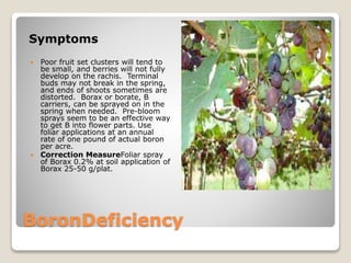 Grape vine physiological disorders A Lecture By Allah Dad Khan To FFS ...