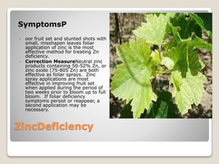 Grape vine physiological disorders A Lecture By Allah Dad Khan To FFS ...
