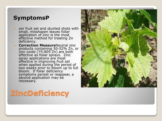 Grape vine physiological disorders A Lecture By Allah Dad Khan To FFS ...