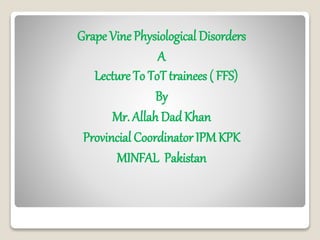Grape vine physiological disorders A Lecture By Allah Dad Khan To FFS Trainee | PPTX