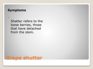 Grape vine physiological disorders A Lecture By Allah Dad Khan To FFS ...