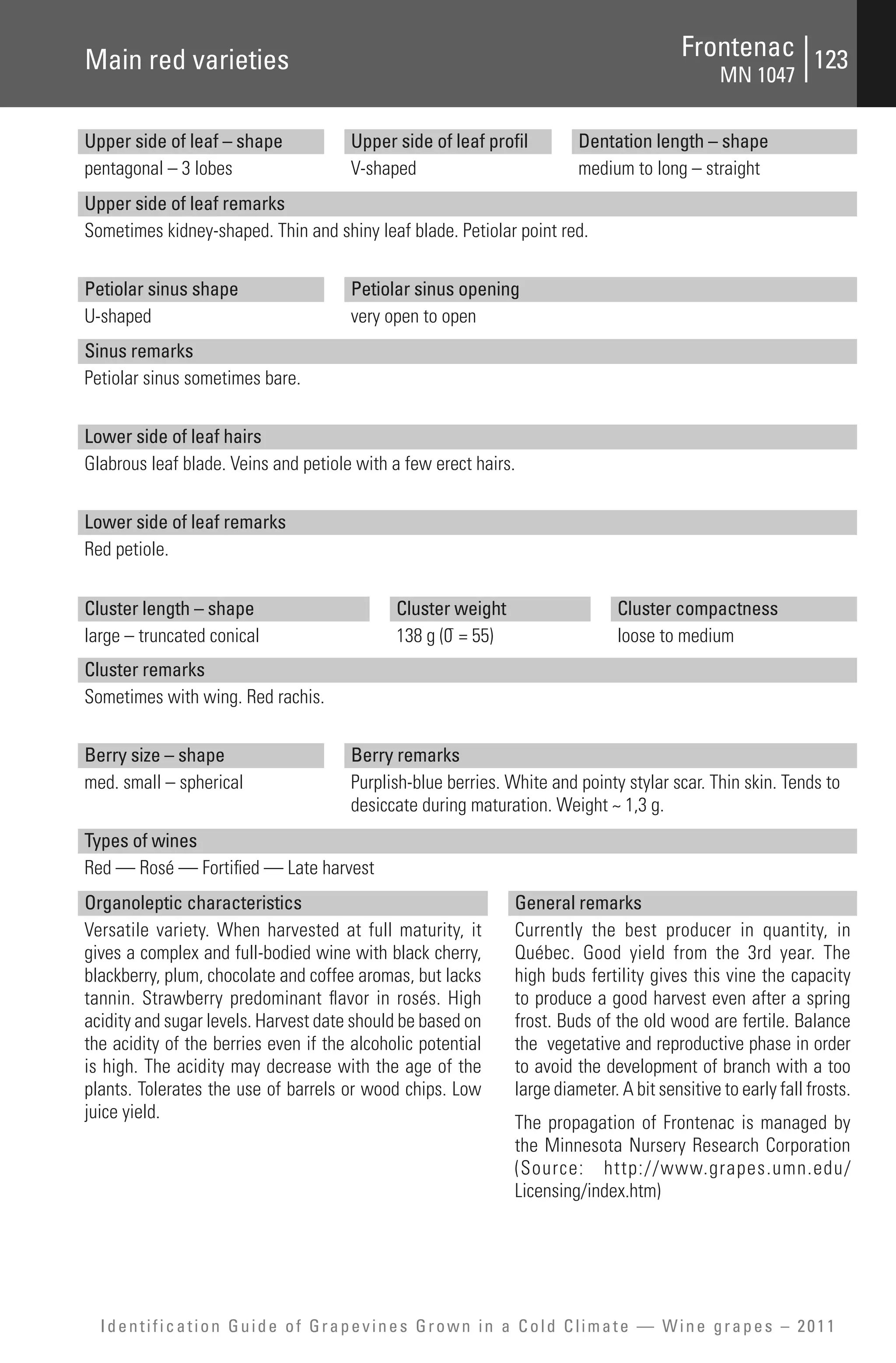 Identification guide of Grapevines Grown in a Cold Climate – Wine ...