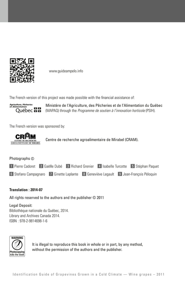 Identification guide of Grapevines Grown in a Cold Climate – Wine ...