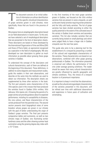 Identification guide of Grapevines Grown in a Cold Climate – Wine ...