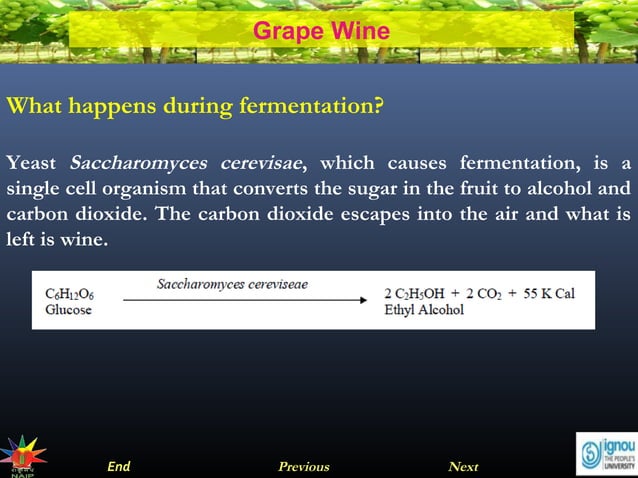 Grape wine introduction for the class-ok | PPT | Chemistry | Science