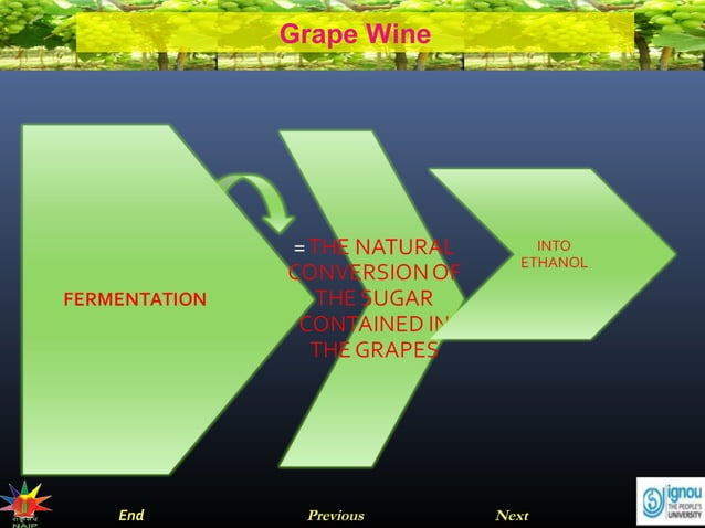 Grape wine introduction for the class-ok | PPT | Chemistry | Science
