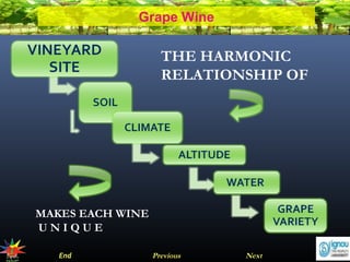 Grape wine introduction for the class-ok | PPT